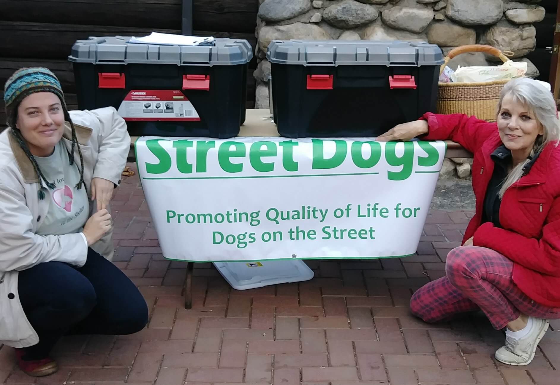 Street Dog Home - Street Dog Project